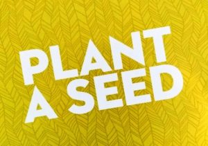 Stelter Insights - How to Plant the Seed to Create a Legacy